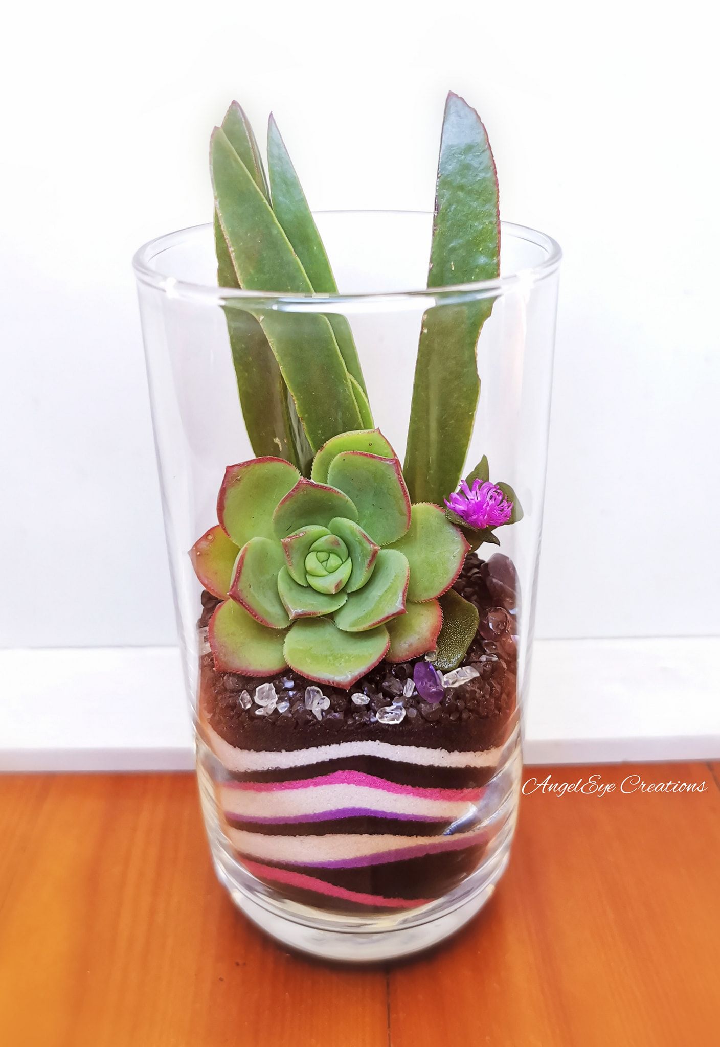 Terrariums – AngelEye Creations