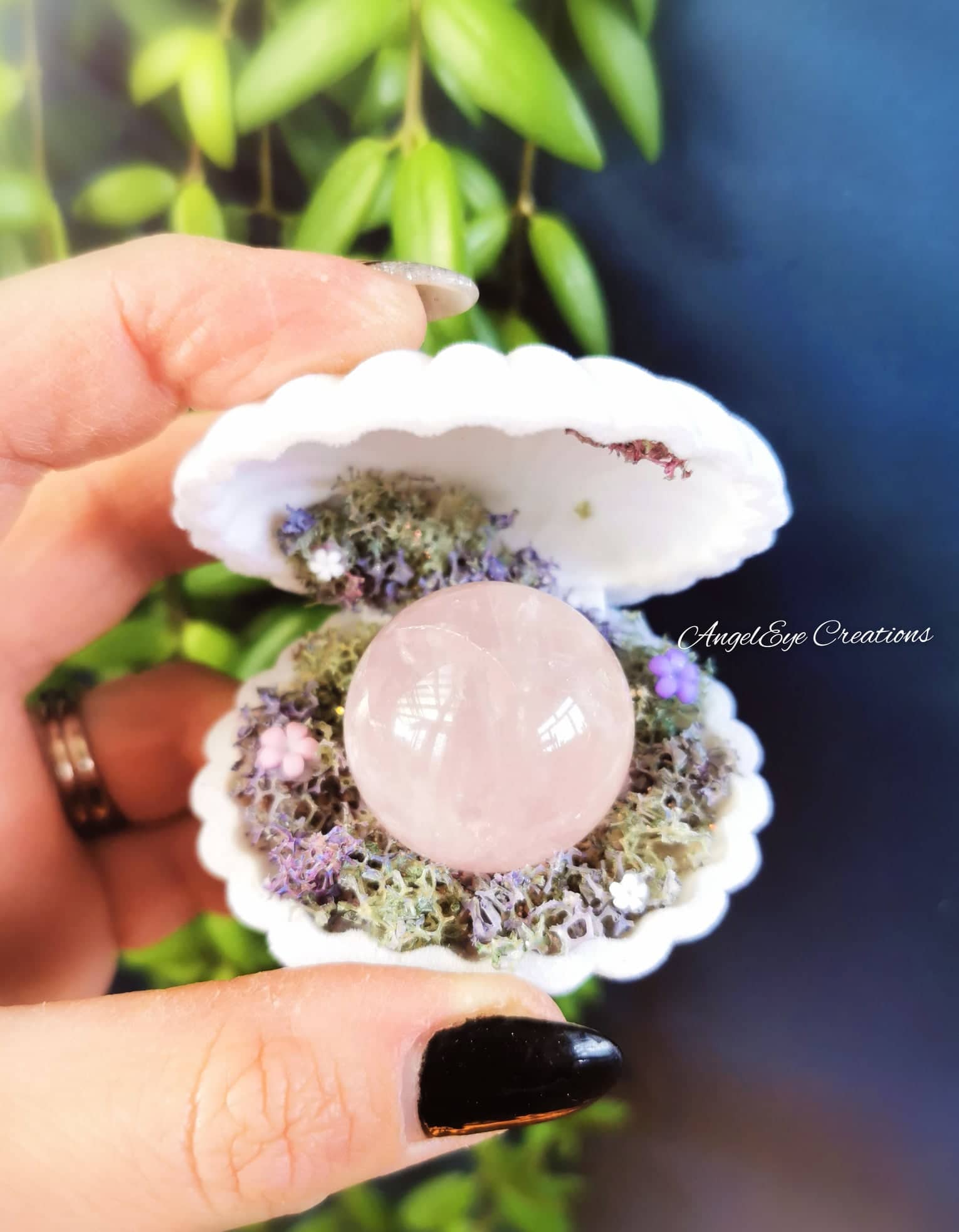 White clam with rose quartz – AngelEye Creations